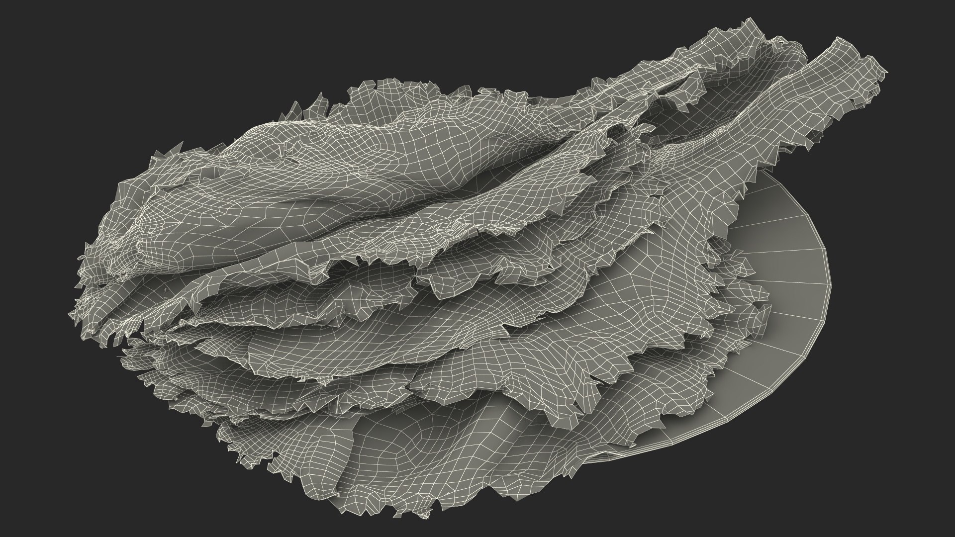 3D Model Lettuce Leaves On Plate - TurboSquid 2209157