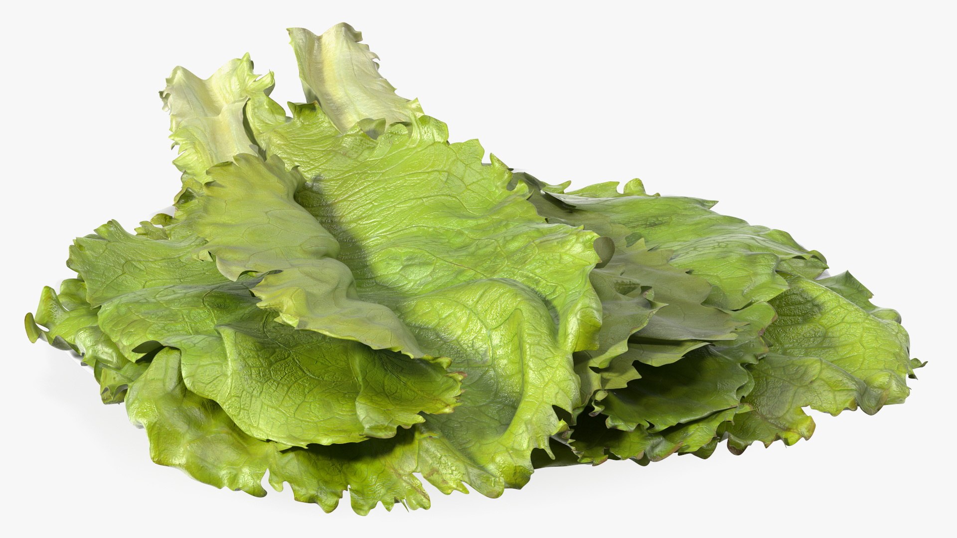 3D Model Lettuce Leaves On Plate - TurboSquid 2209157
