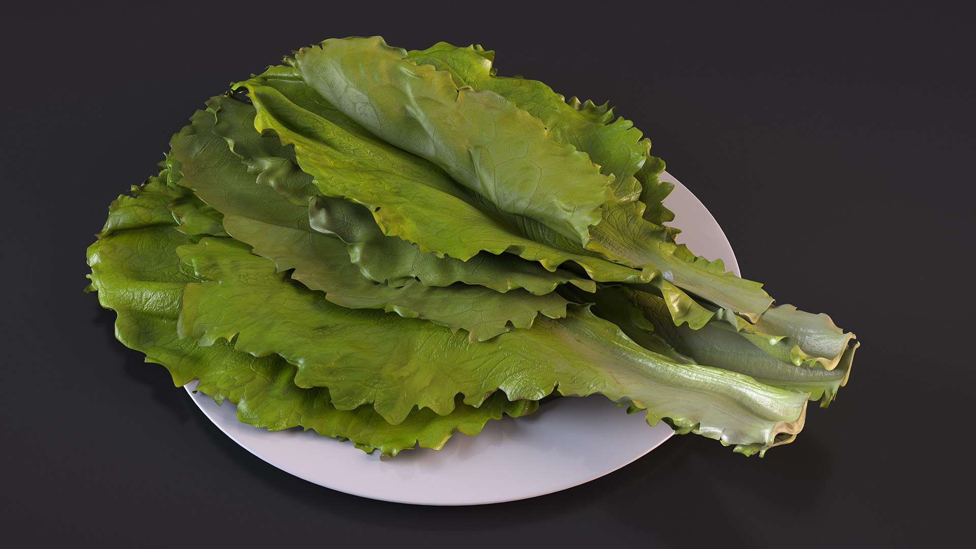 3D Model Lettuce Leaves On Plate - TurboSquid 2209157