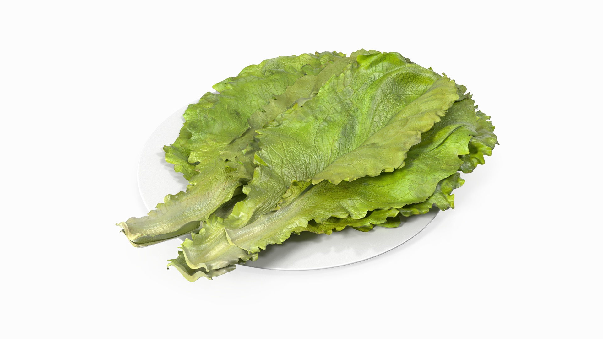 3D Model Lettuce Leaves On Plate - TurboSquid 2209157