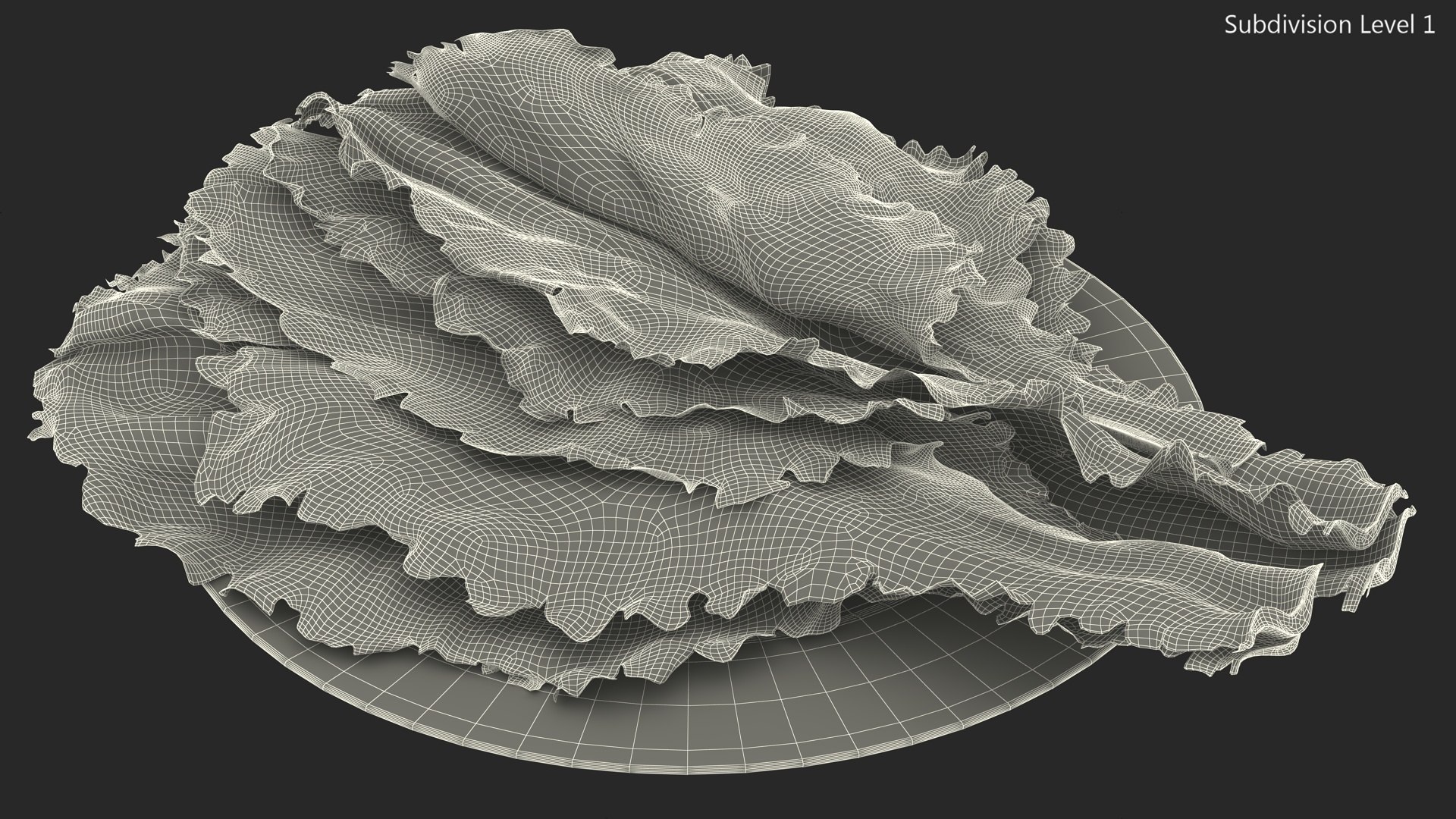 3D Model Lettuce Leaves On Plate - TurboSquid 2209157
