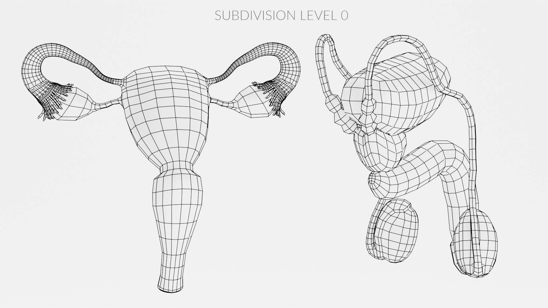 Reproductive System Set 3D Model - TurboSquid 1782889