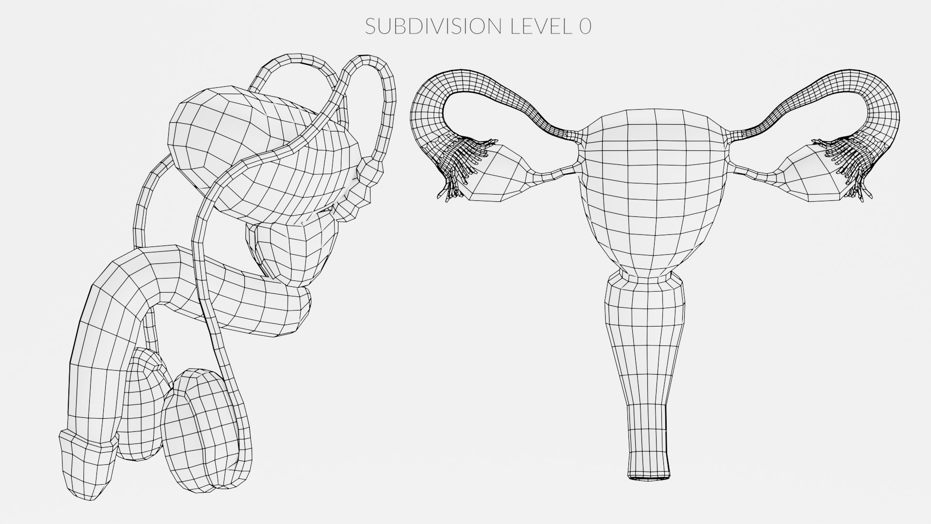 Reproductive System Set 3D Model - TurboSquid 1782889