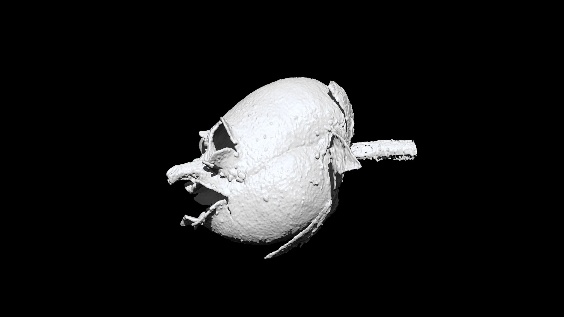 3D Antirrhinum Majus 3D CT Scan Model Decimate 80 Percent - TurboSquid ...