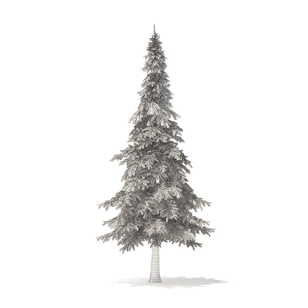 3D Fir Tree 7m - TurboSquid 1273696