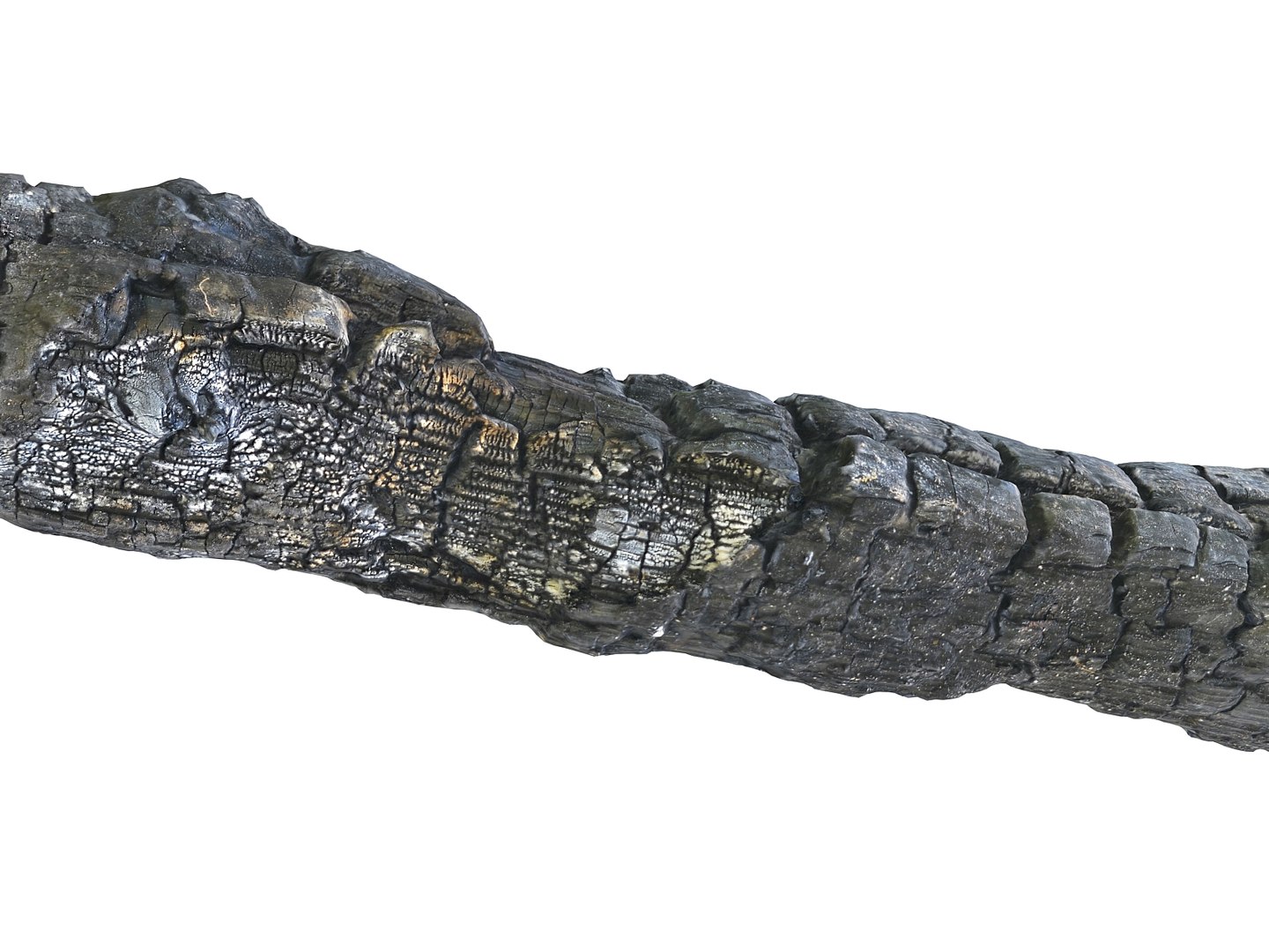 3D Burned Tree Branch 8k - TurboSquid 1578923