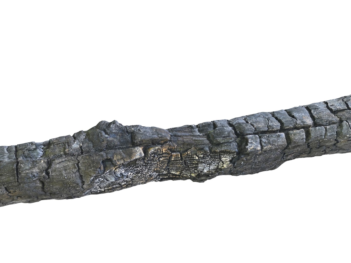 3D Burned Tree Branch 8k - TurboSquid 1578923