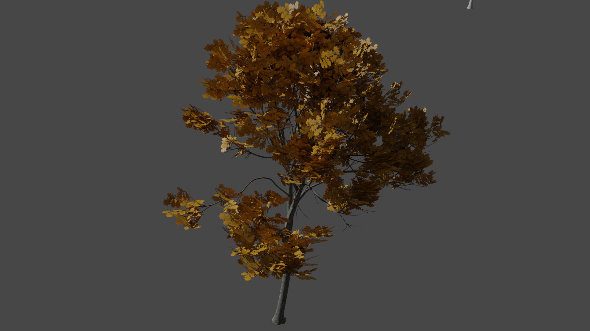 1 Tree Leaf Model - TurboSquid 1614319