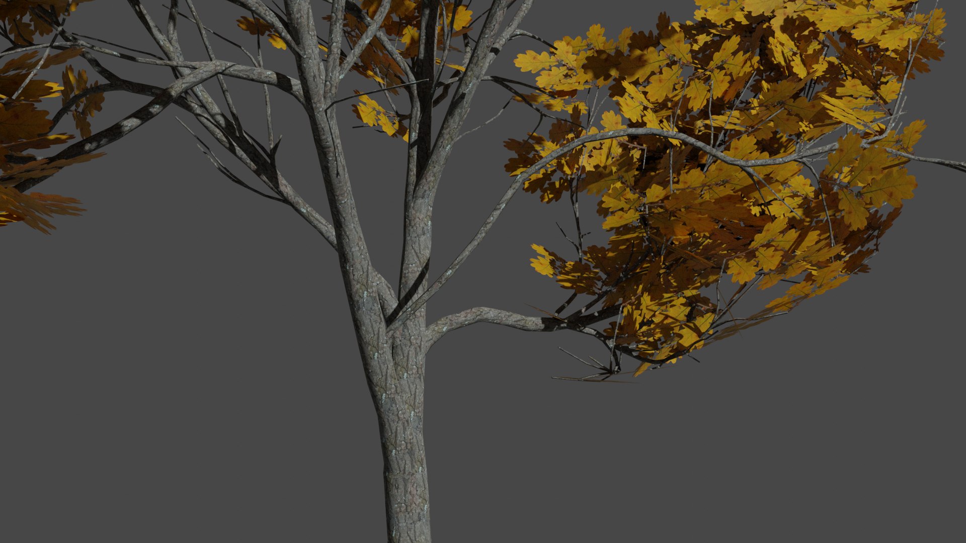 1 Tree Leaf Model - TurboSquid 1614319