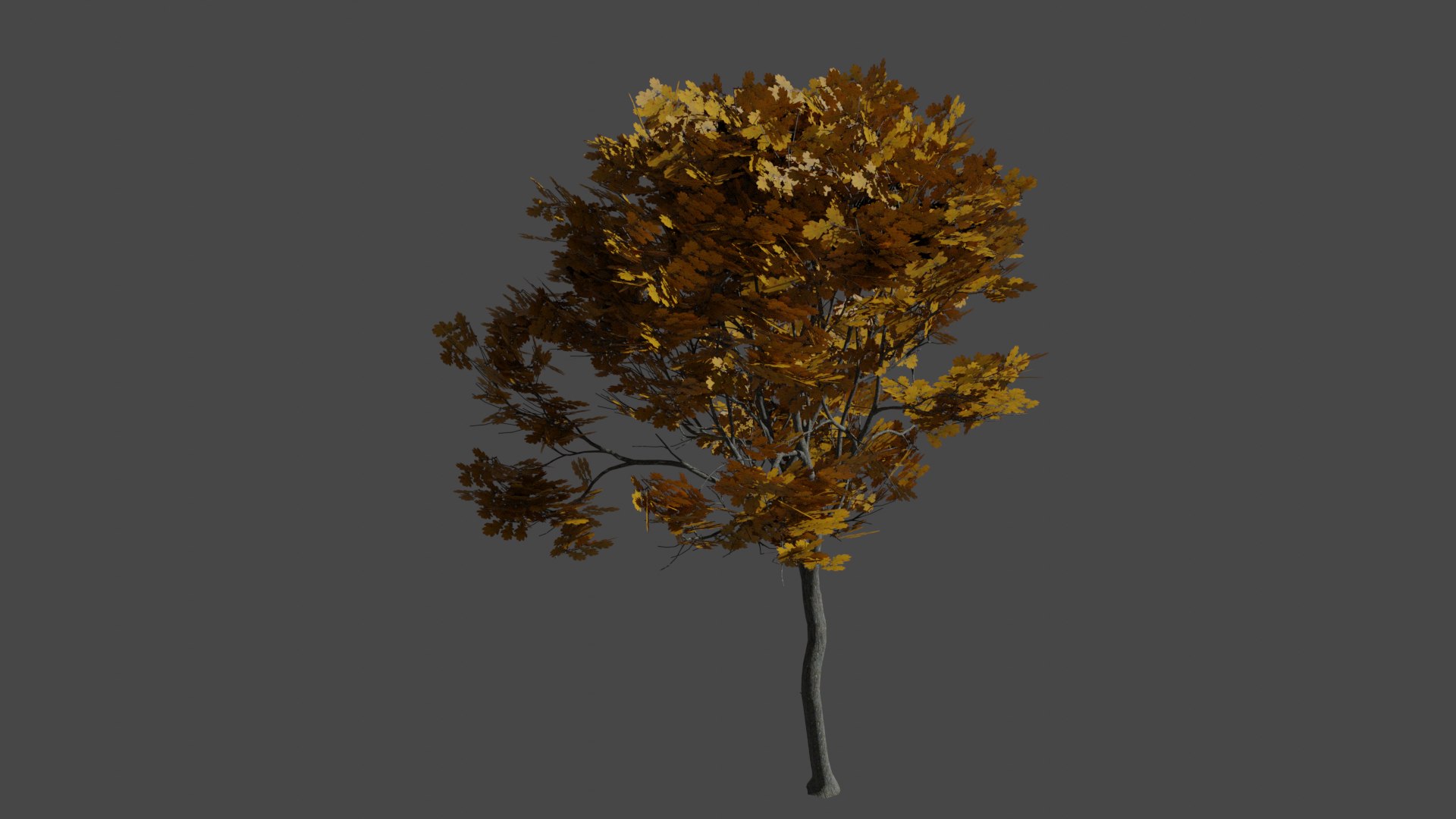1 Tree Leaf Model - TurboSquid 1614319