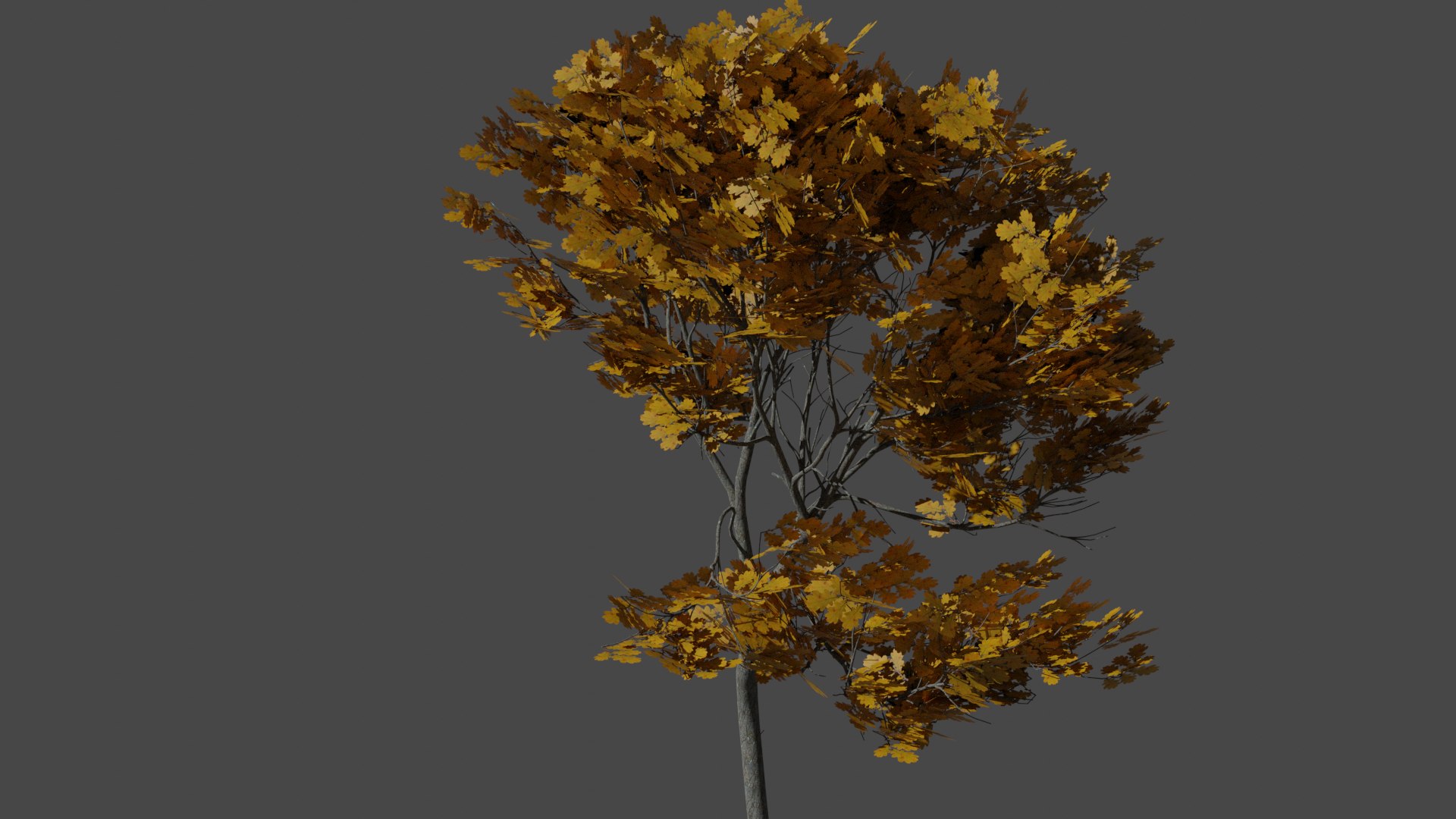 1 Tree Leaf Model - TurboSquid 1614319