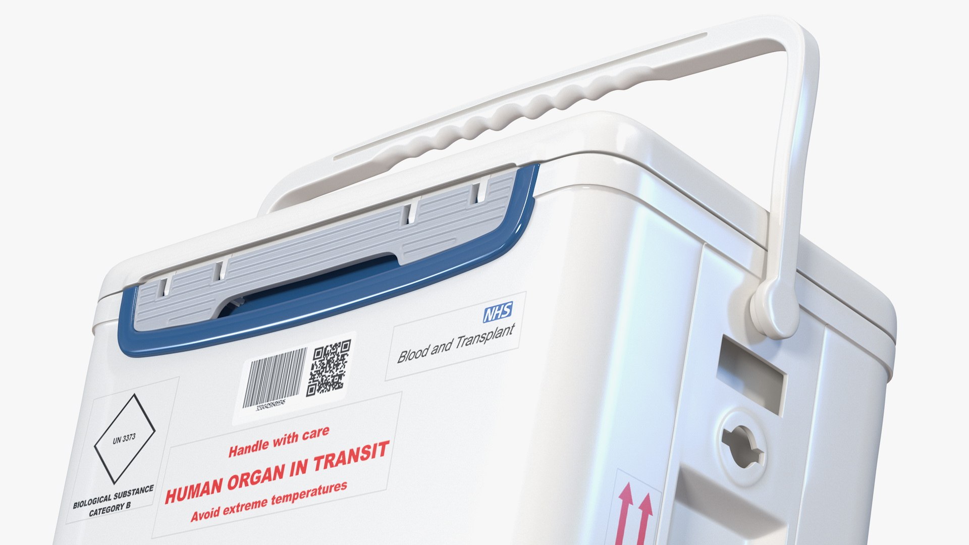 Human organ transplant cooler 3D model - TurboSquid 1580980