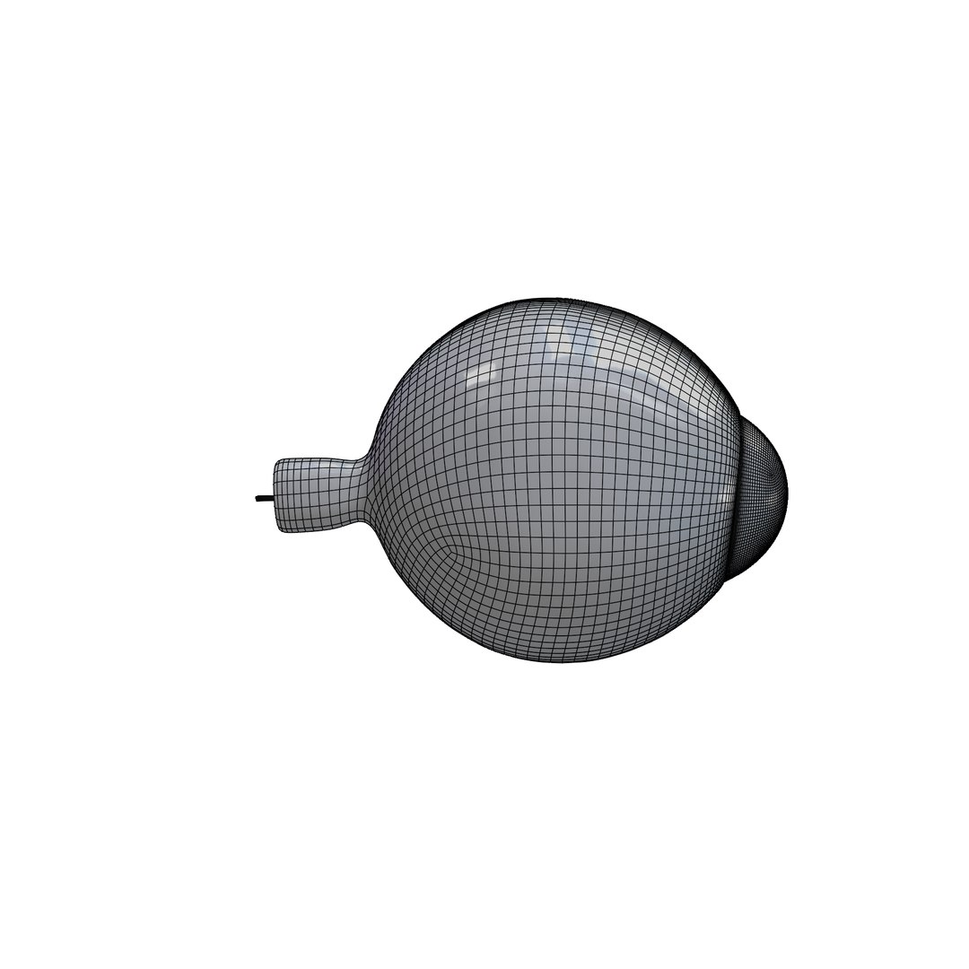 Sectioned Eye Anatomy Model 3D - TurboSquid 2166640
