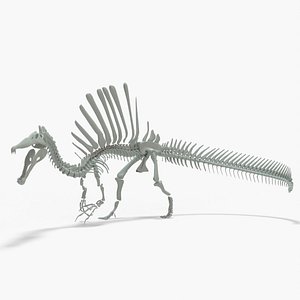 Spinosaurus 3D Models for Download | TurboSquid