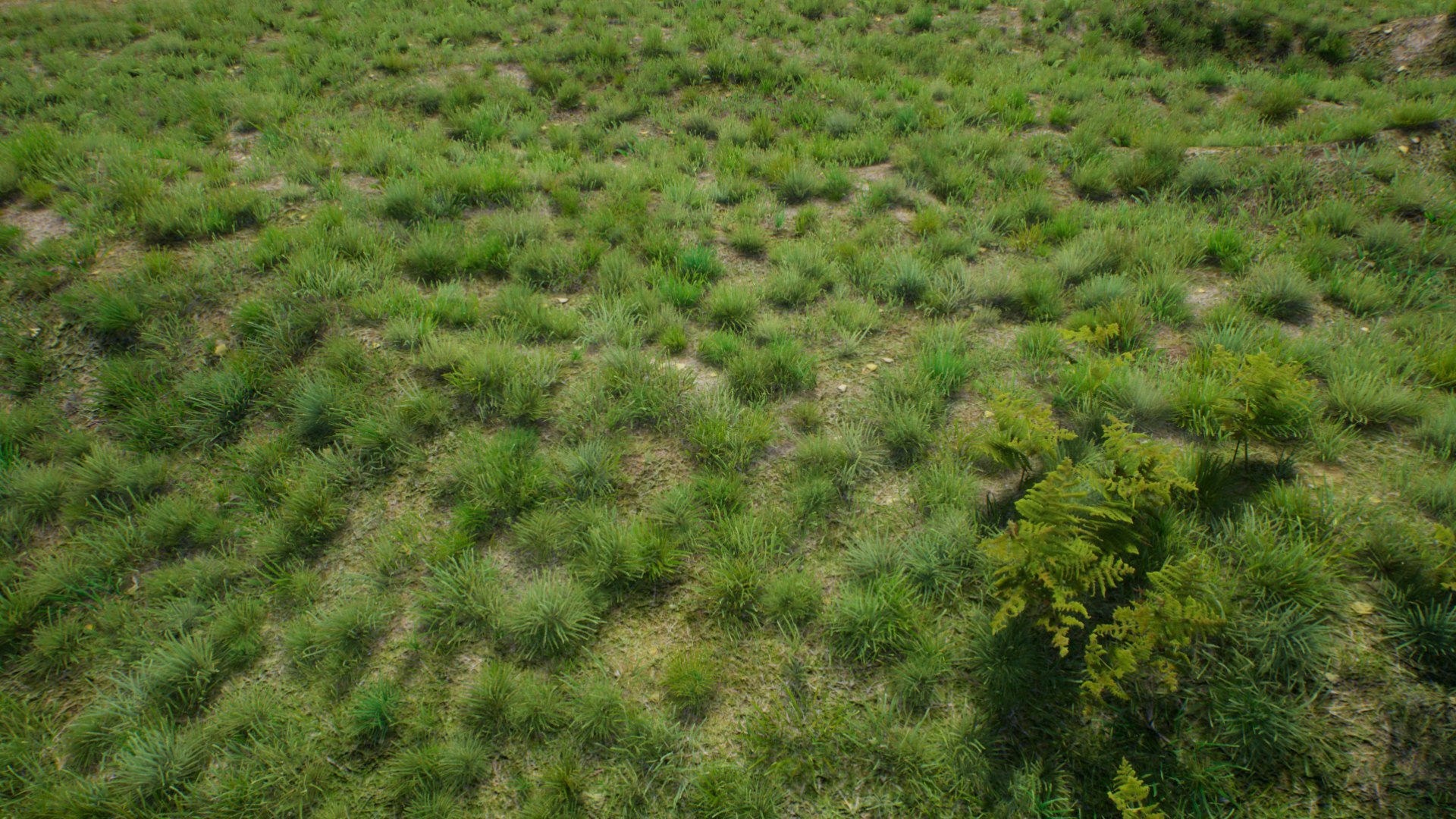 Grasses And Plants Pack Unreal Asset 3D Model - TurboSquid 1900646