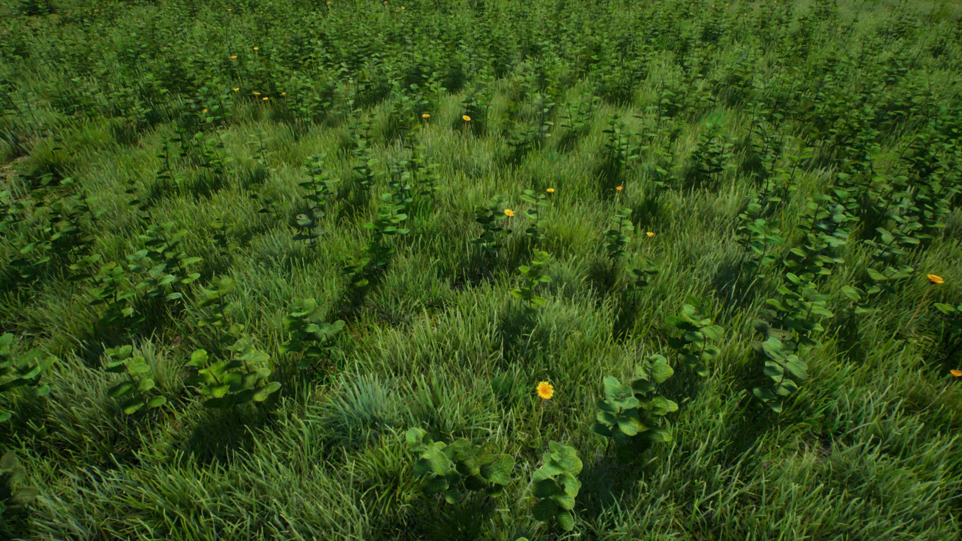 Grasses And Plants Pack Unreal Asset 3D Model - TurboSquid 1900646