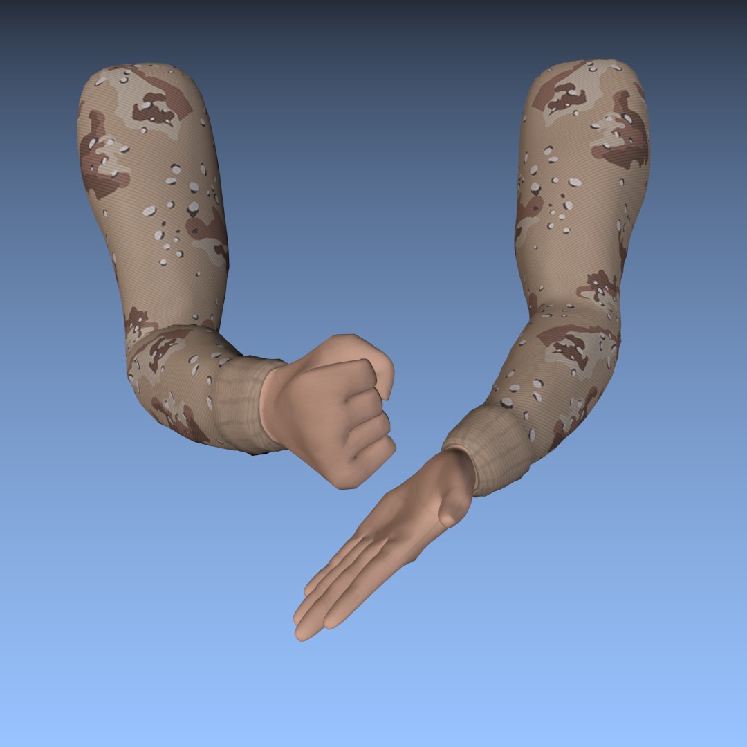 3d Model Fps Arms Rigged
