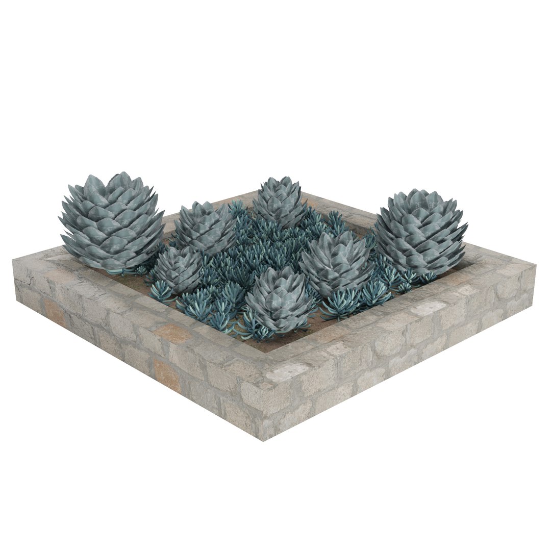 3D succulent planter of Sempervivum and Pachyphytum - TurboSquid 2120919