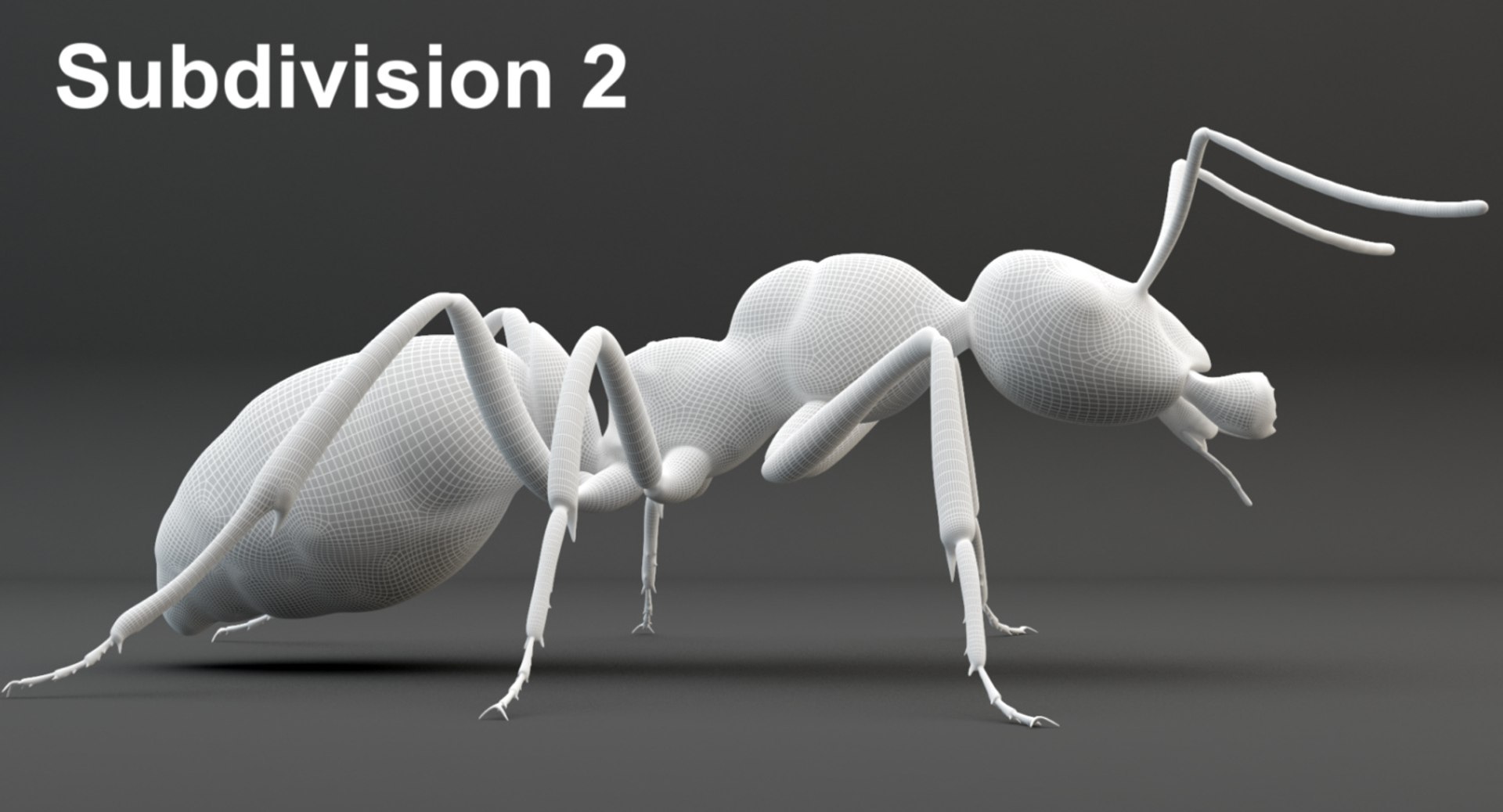 Rigged ant 3D model - TurboSquid 1337379