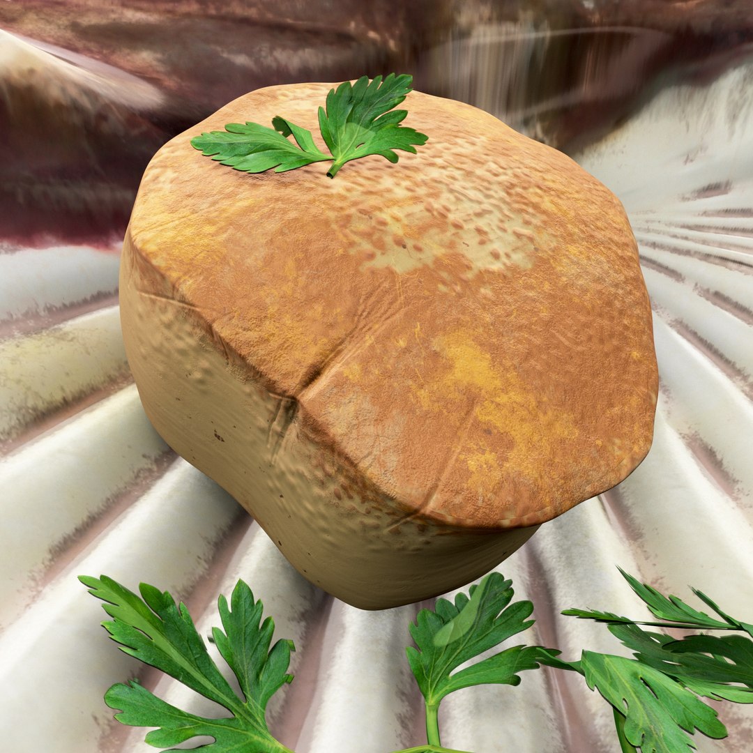 Shell scallop model - TurboSquid 1641341