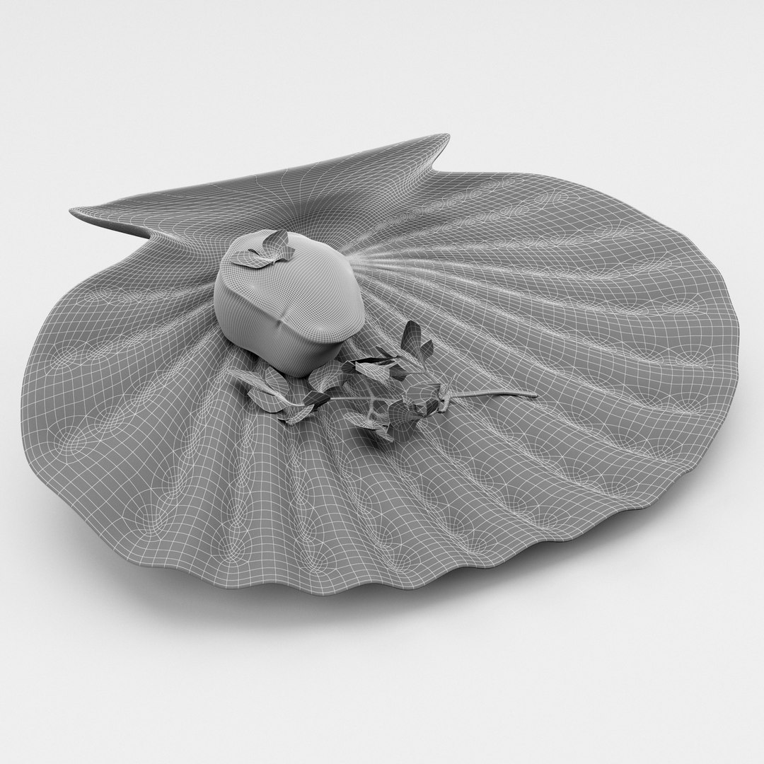 Shell scallop model - TurboSquid 1641341