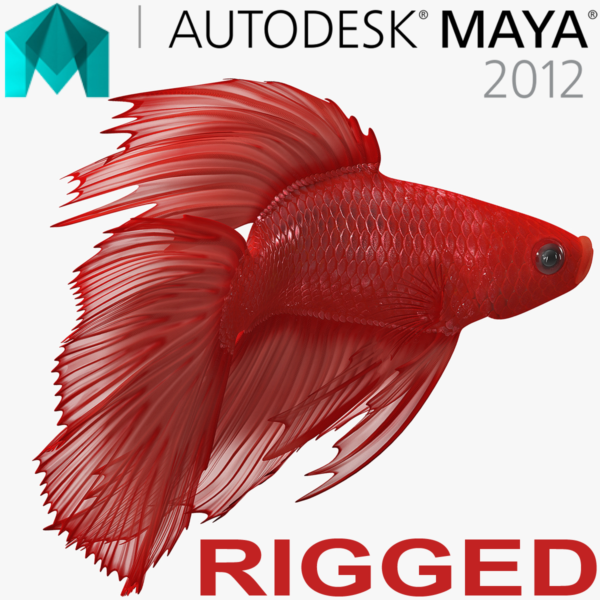 Red crowntail betta fish 3D model - TurboSquid 1244205