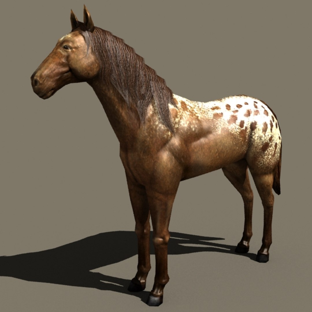 3D model horse - TurboSquid 670665