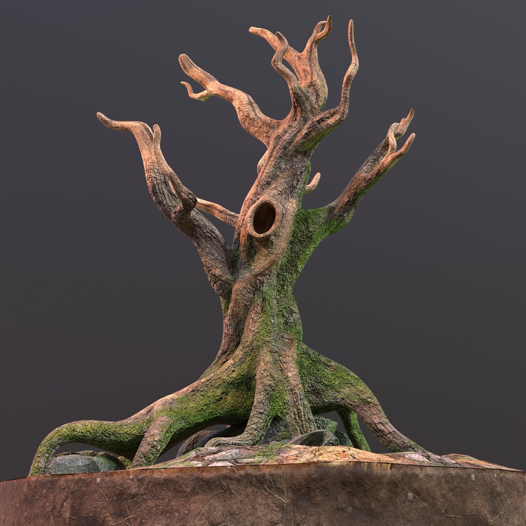 3D Old Tree - TurboSquid 1995895
