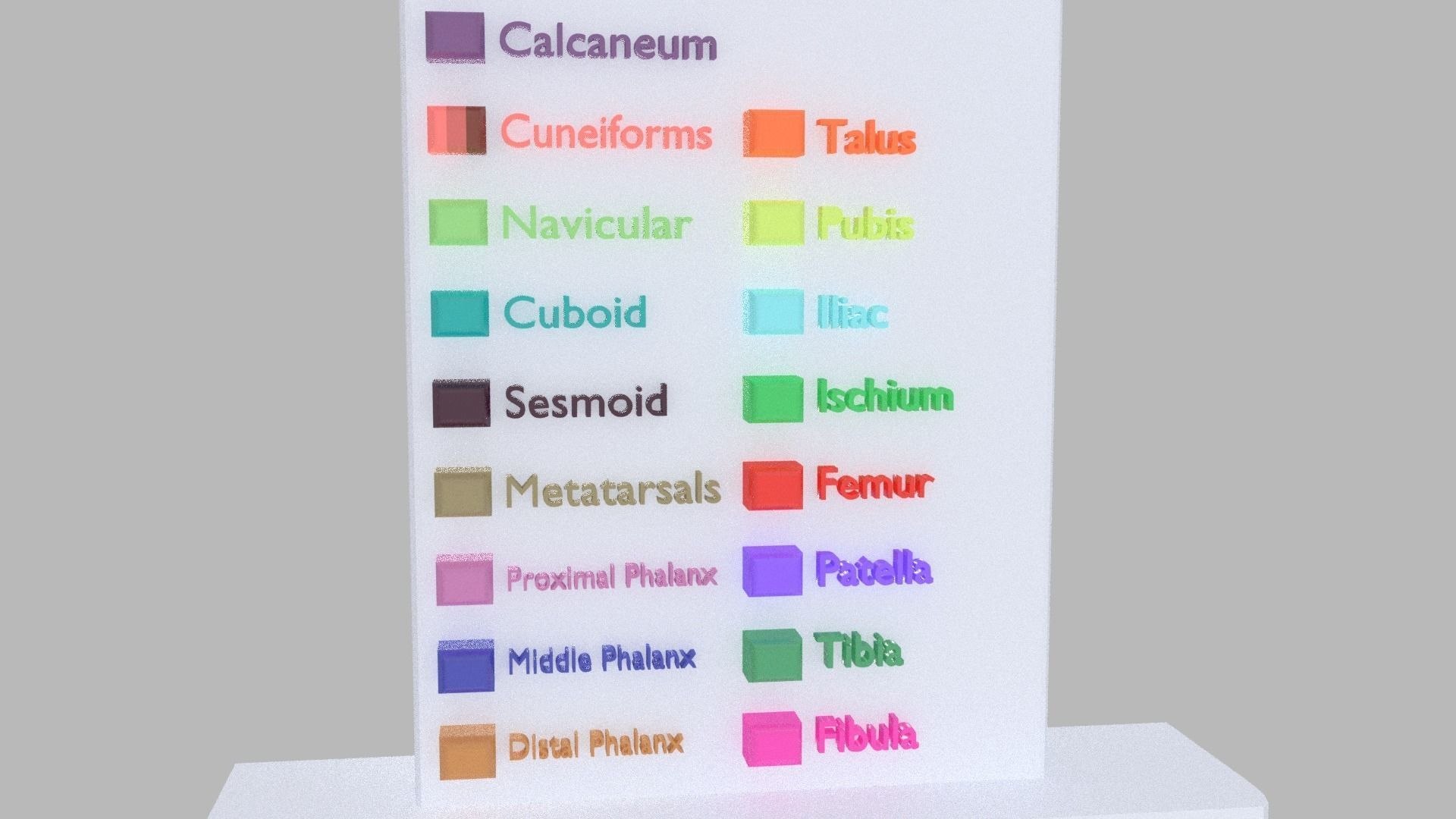 Lower Limbs with girdle color coded 3D model 3D model - TurboSquid 2177820