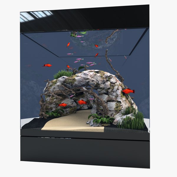 Fish Tank 3D Models for Download | TurboSquid