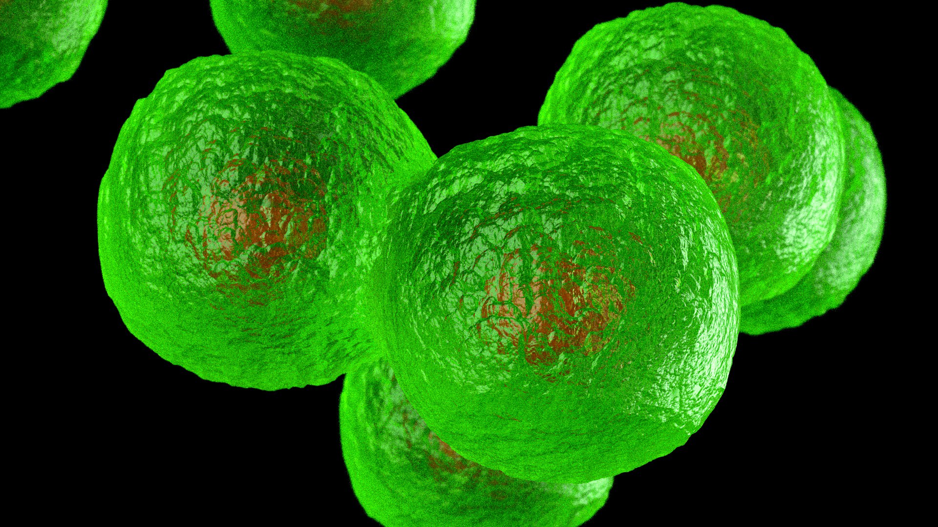 3D Model Division Cell Mitosis - TurboSquid 1428820