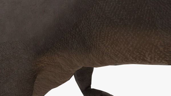 Rigged Tyrannosaurus Rex 4K Textures 3D 모델 - TurboSquid 1964643