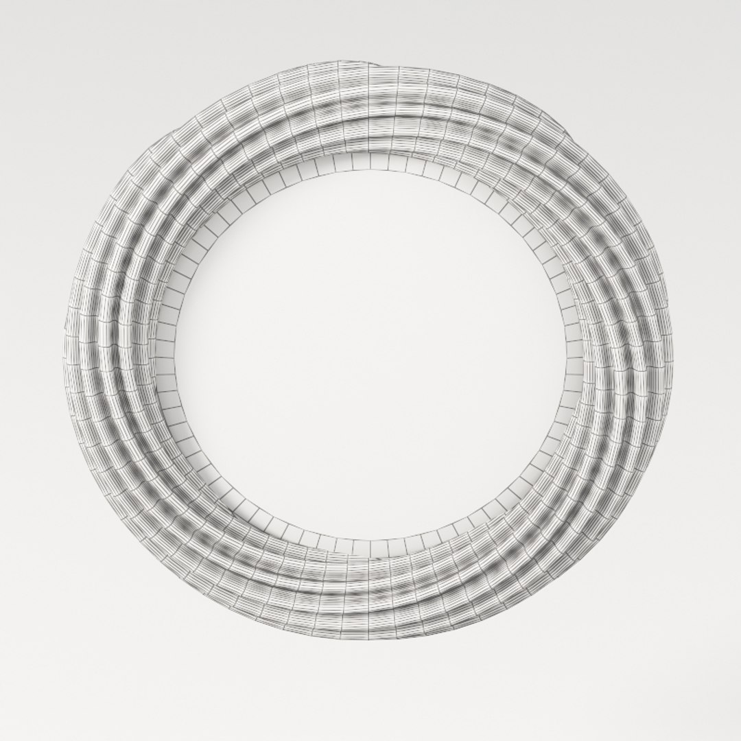 Circular Twisted Frame 3D Model - TurboSquid 1629313