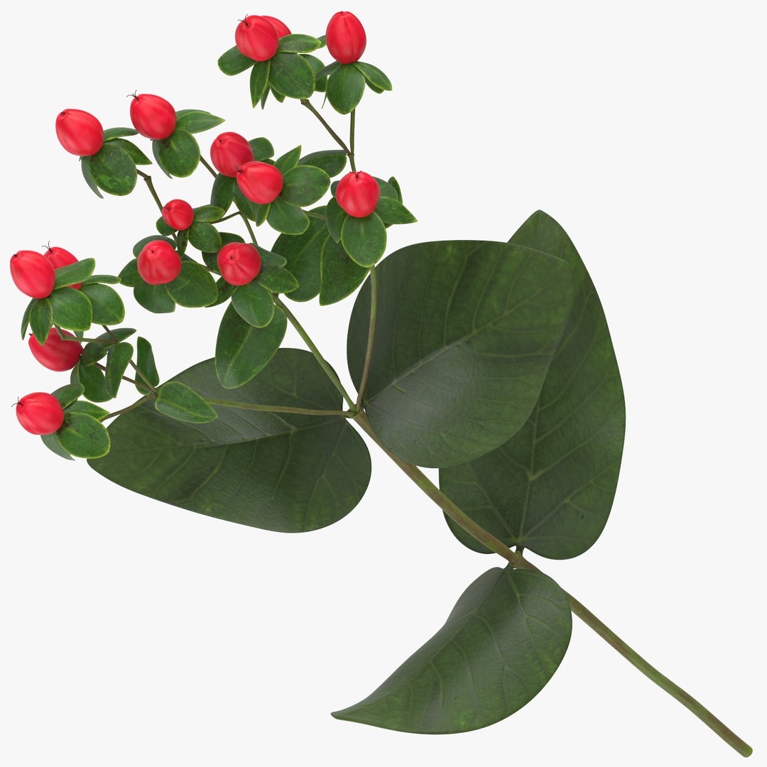 3D red flowers 02 model - TurboSquid 1449977