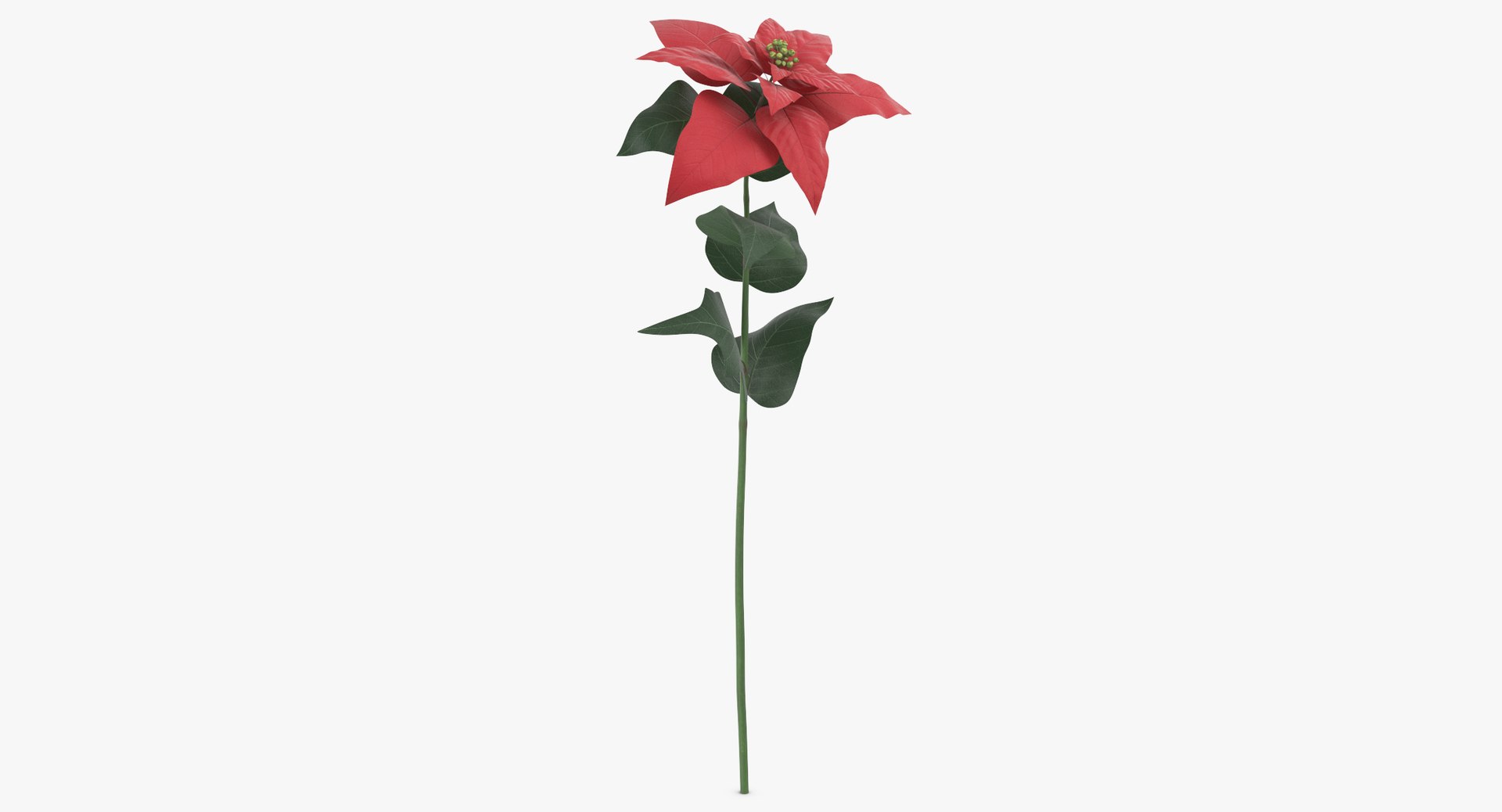 3D red flowers 02 model - TurboSquid 1449977