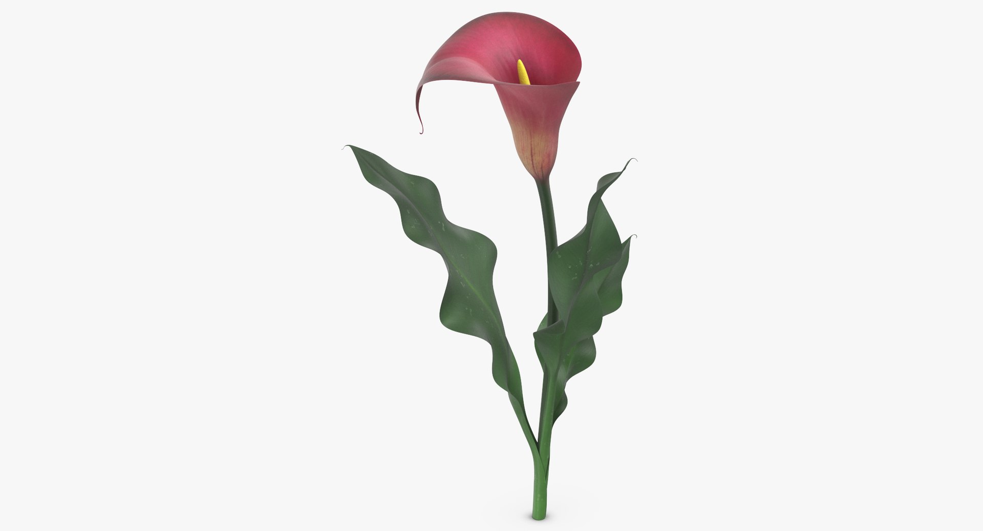 3D red flowers 02 model - TurboSquid 1449977