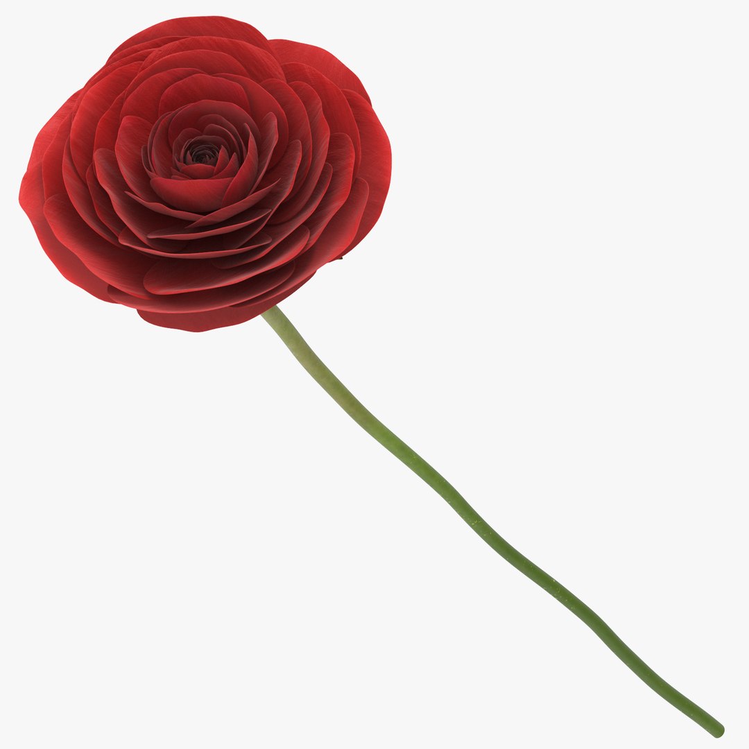 3D red flowers 02 model - TurboSquid 1449977