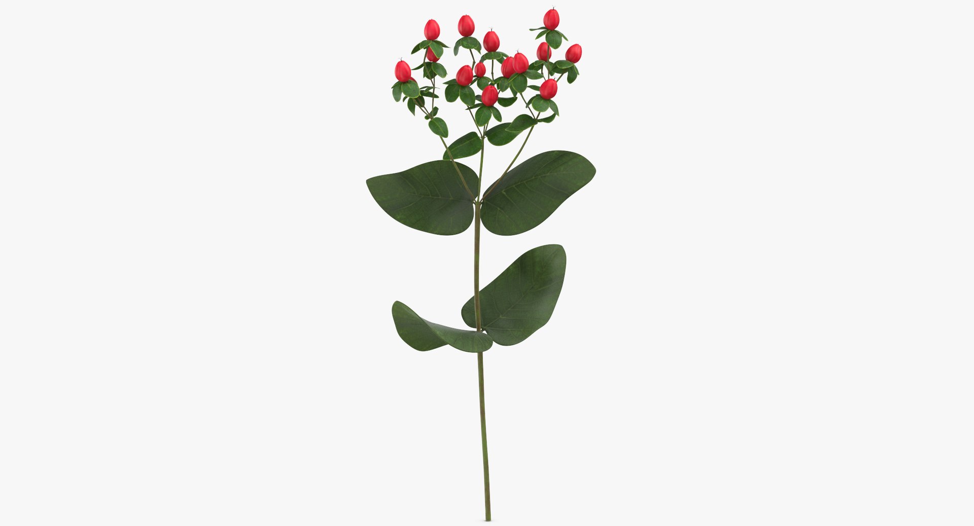 3D red flowers 02 model - TurboSquid 1449977