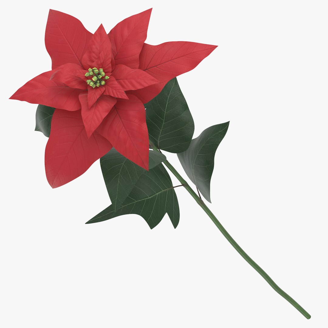 3D red flowers 02 model - TurboSquid 1449977