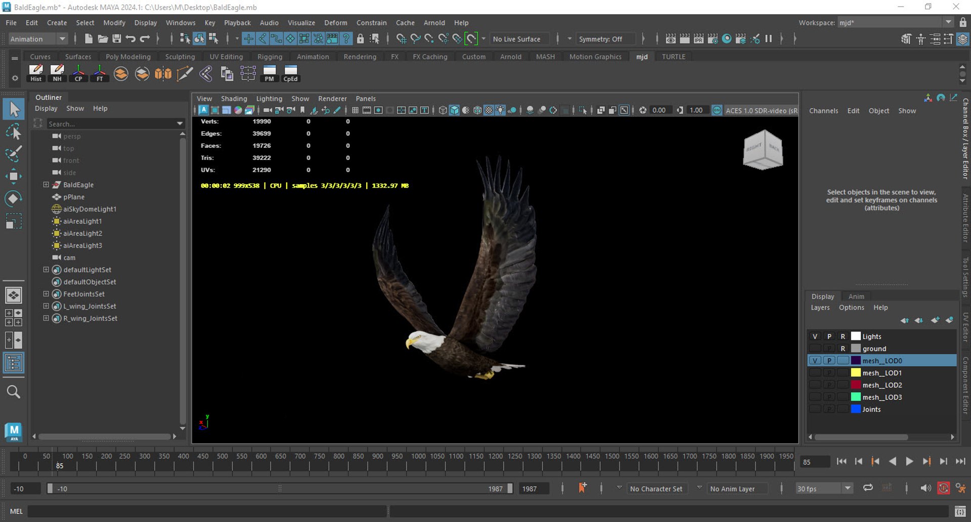Animated Realistic Bald Eagle 3D Model - TurboSquid 2110698