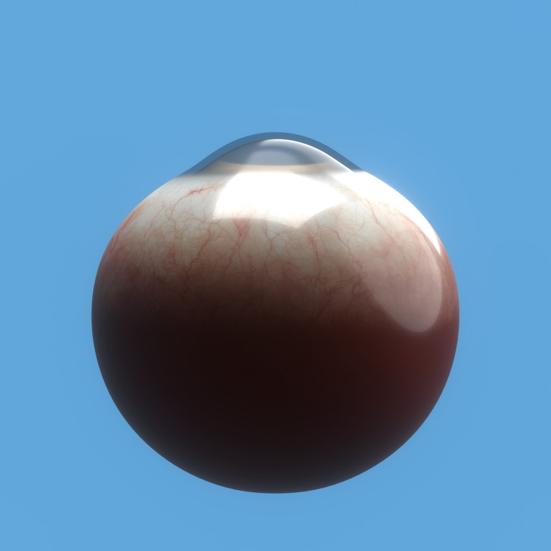 3D Eye Ball Structure Model - TurboSquid 2113899