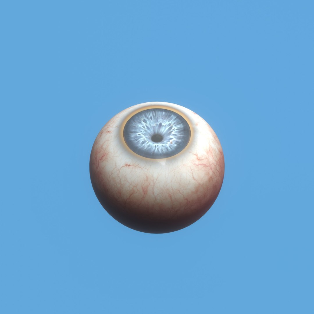 3D Eye Ball Structure Model - TurboSquid 2113899