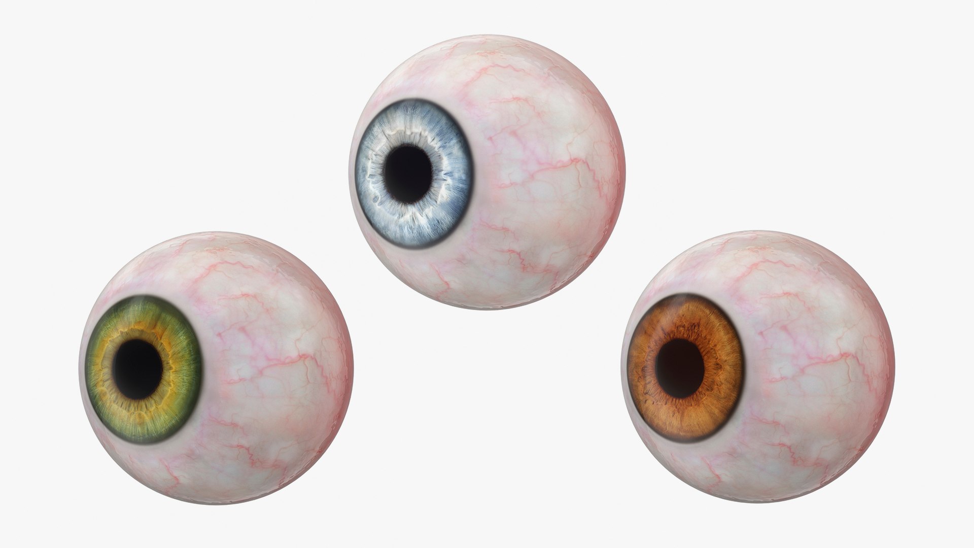 Realistic Human Eyeballs Collection 3D Model - TurboSquid 2196322