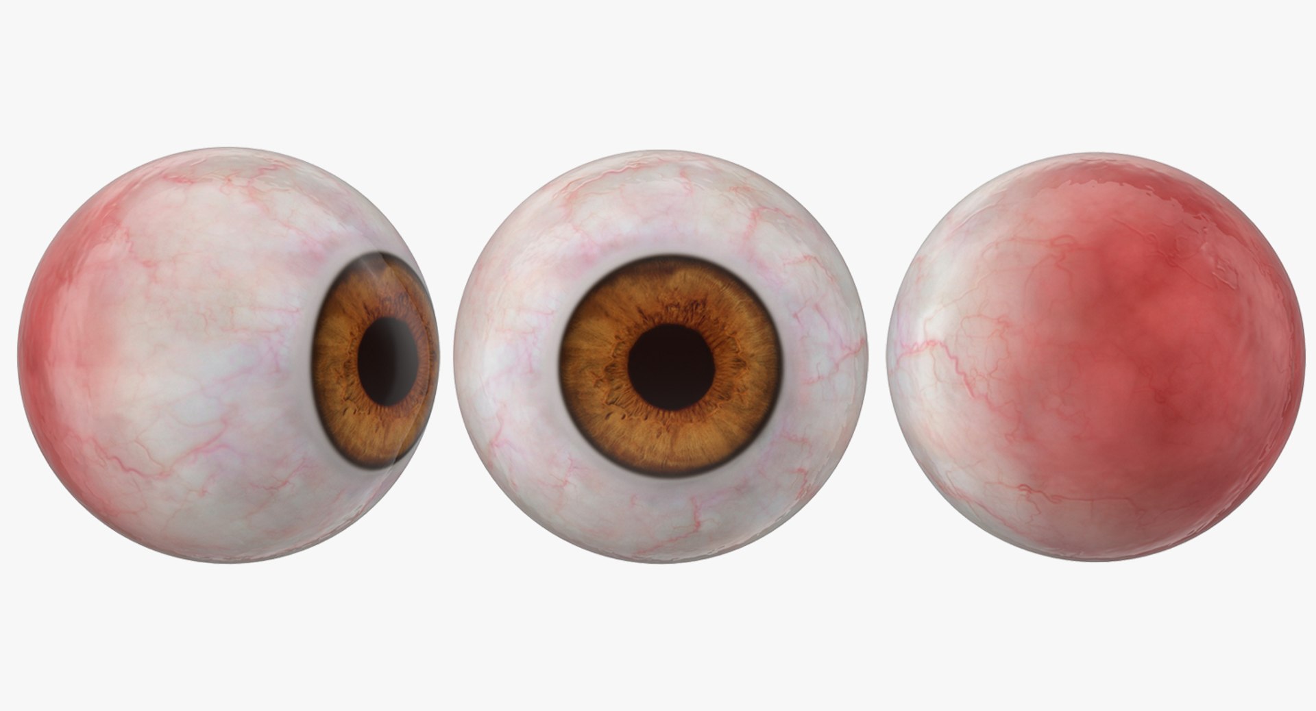 Realistic Human Eyeballs Collection 3D Model - TurboSquid 2196322