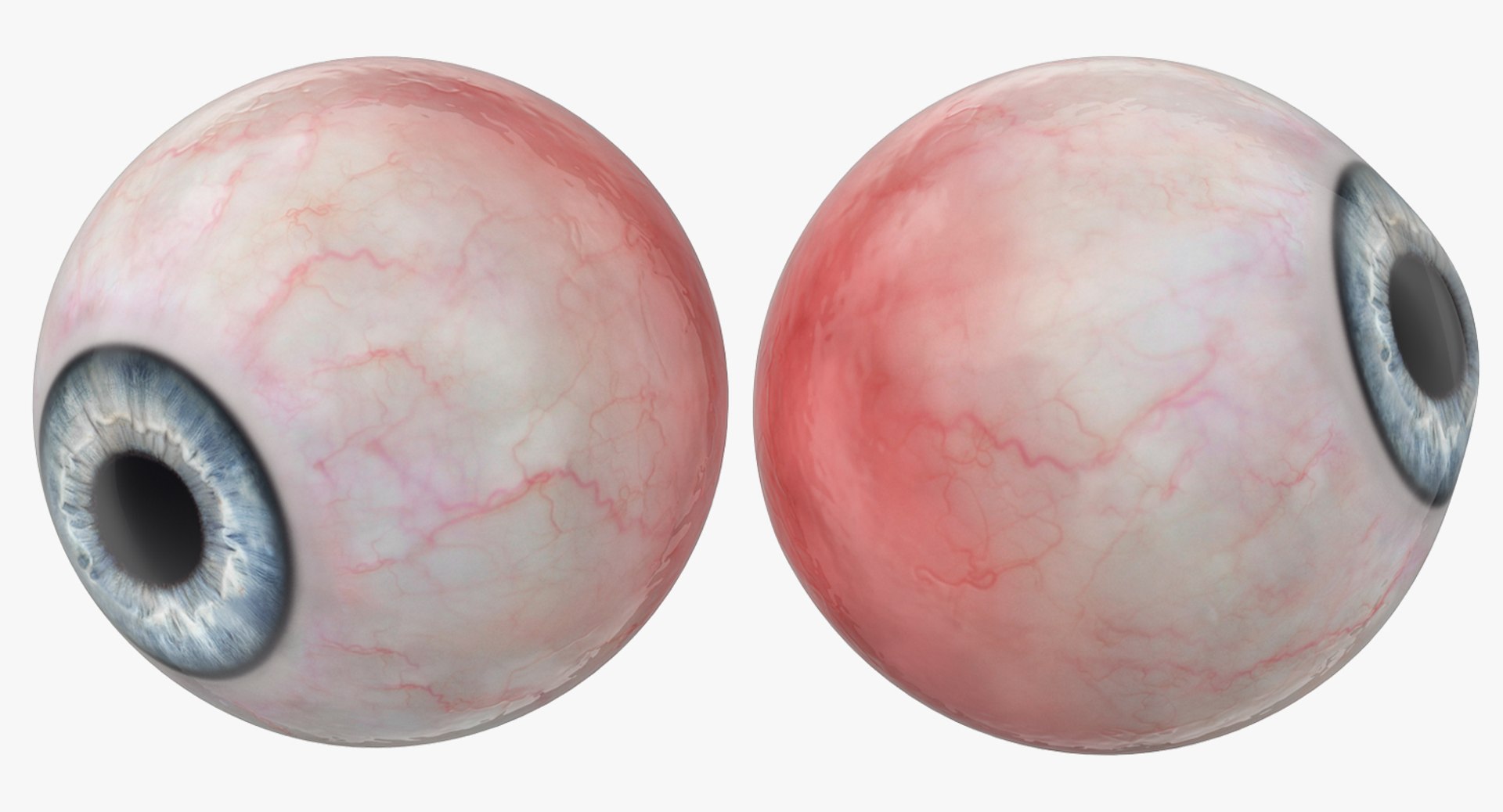 Realistic Human Eyeballs Collection 3D Model - TurboSquid 2196322