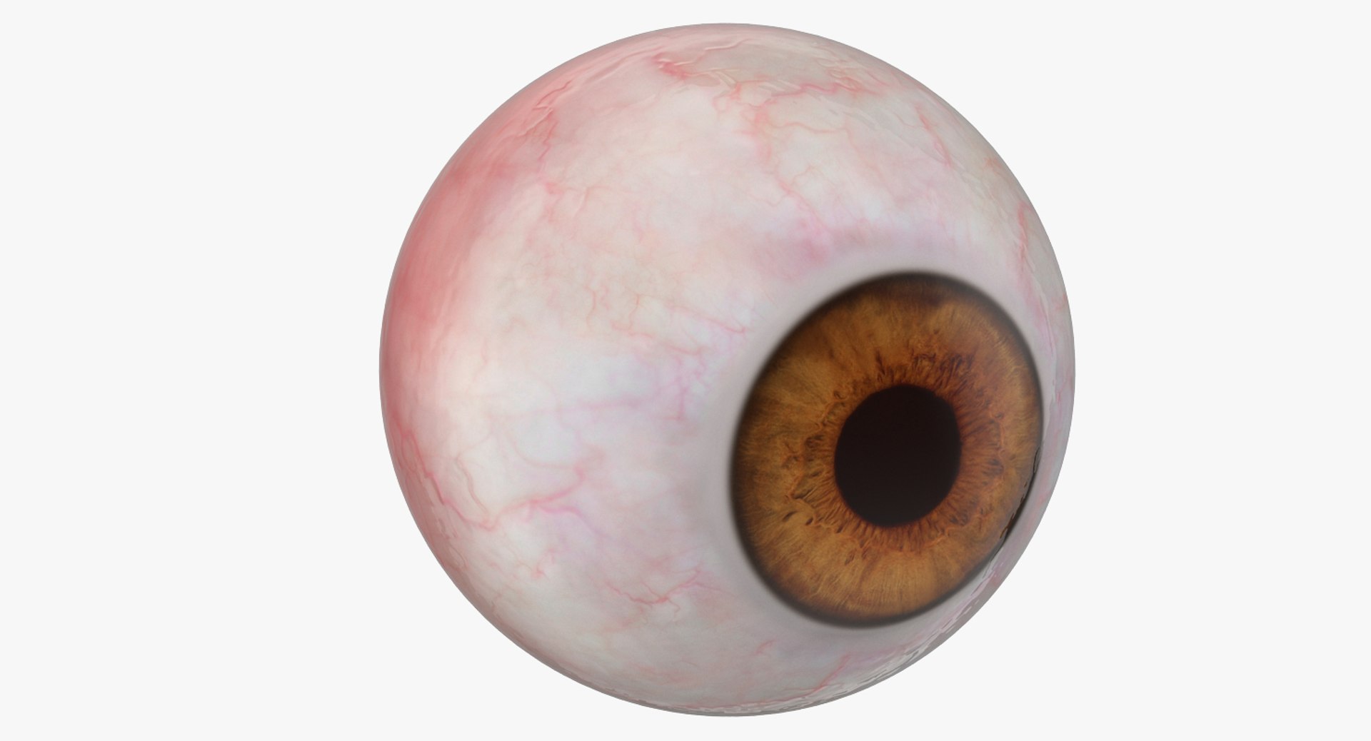 Realistic Human Eyeballs Collection 3D Model - TurboSquid 2196322