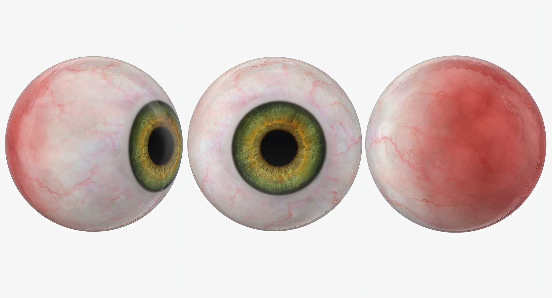 Realistic Human Eyeballs Collection 3D Model - TurboSquid 2196322