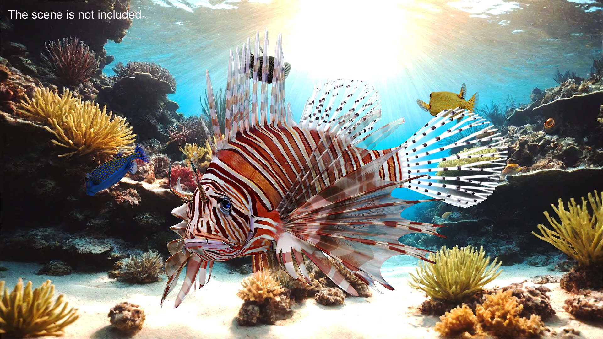 3D Lionfish Marine Creature Rigged For Maya - TurboSquid 2353125
