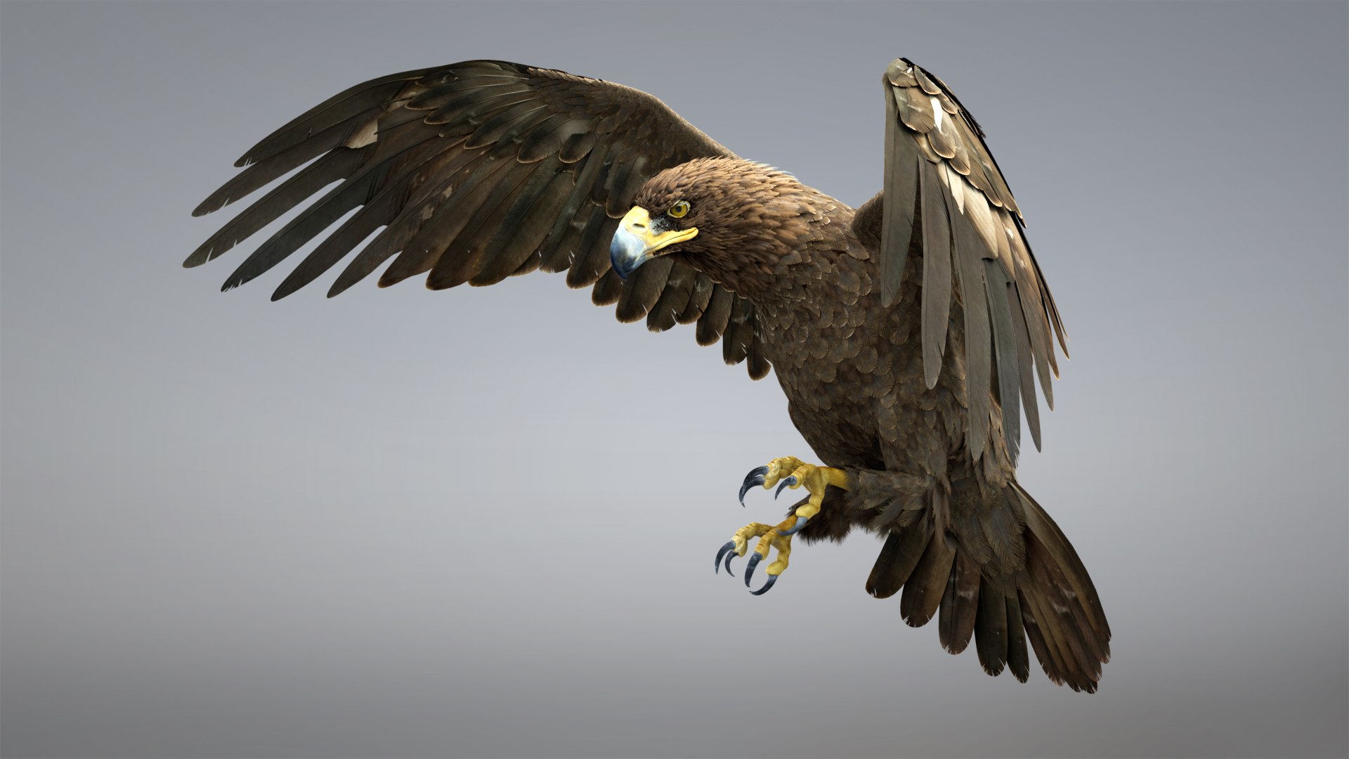 3D Golden Eagle RIGGED - TurboSquid 2261610