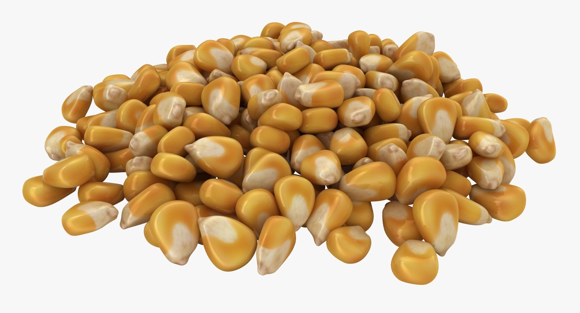 3D Realistic Corn Kernel Model - TurboSquid 1192453